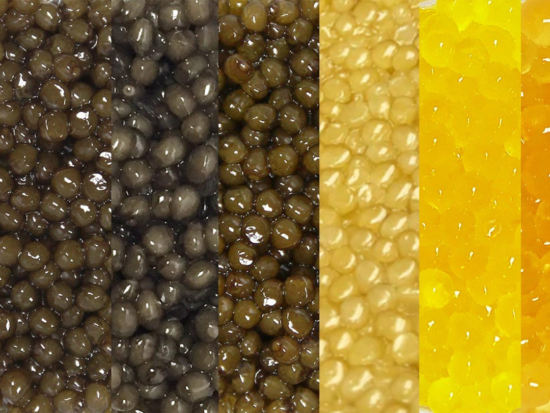 What Color Is Caviar? – Caviar Star