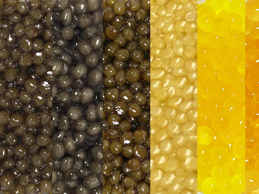 What Color Is Caviar? Learn Common Fish Roe Colors – Caviar Star