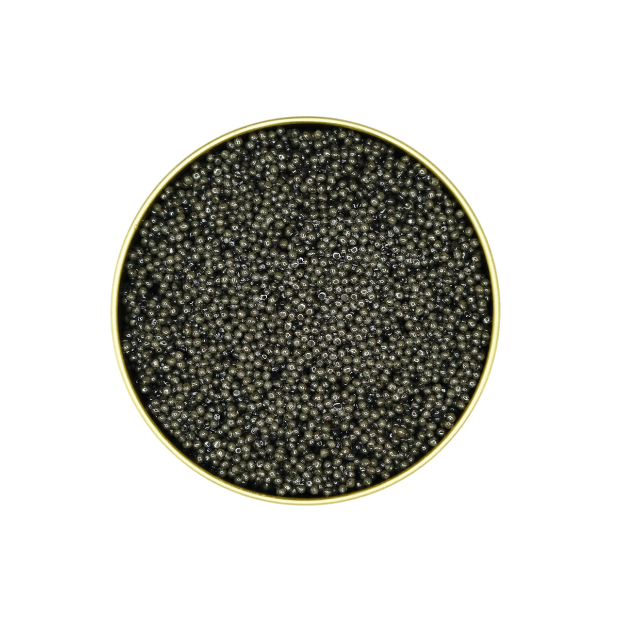 Caviar American Paddlefish – Caviar Star