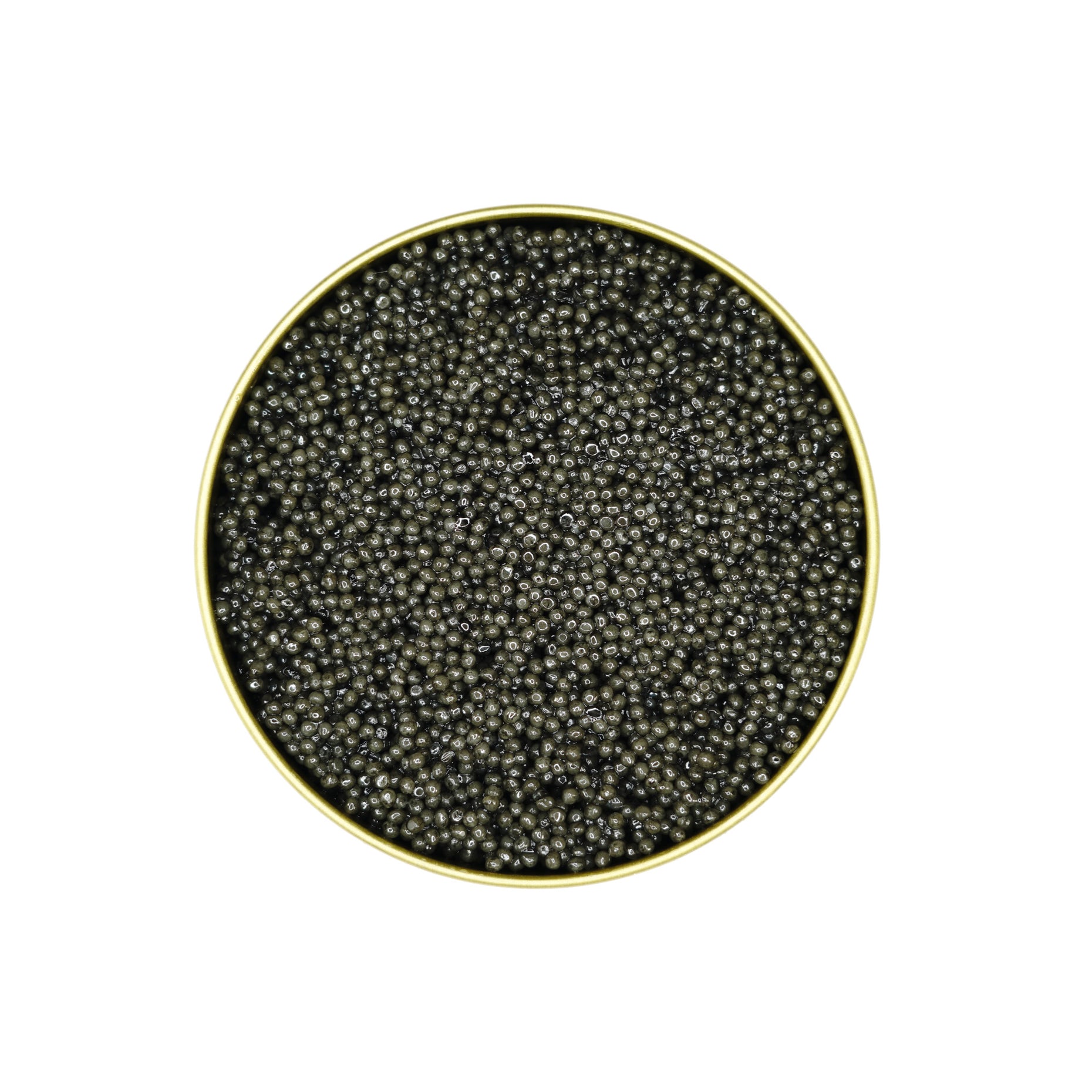 Caviar American Paddlefish – Caviar Star