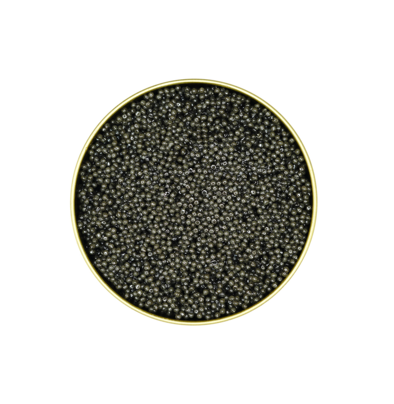Caviar American Paddlefish – Caviar Star