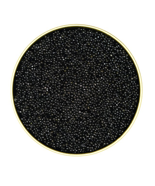 American Hackleback Sturgeon Caviar | Caviar Star