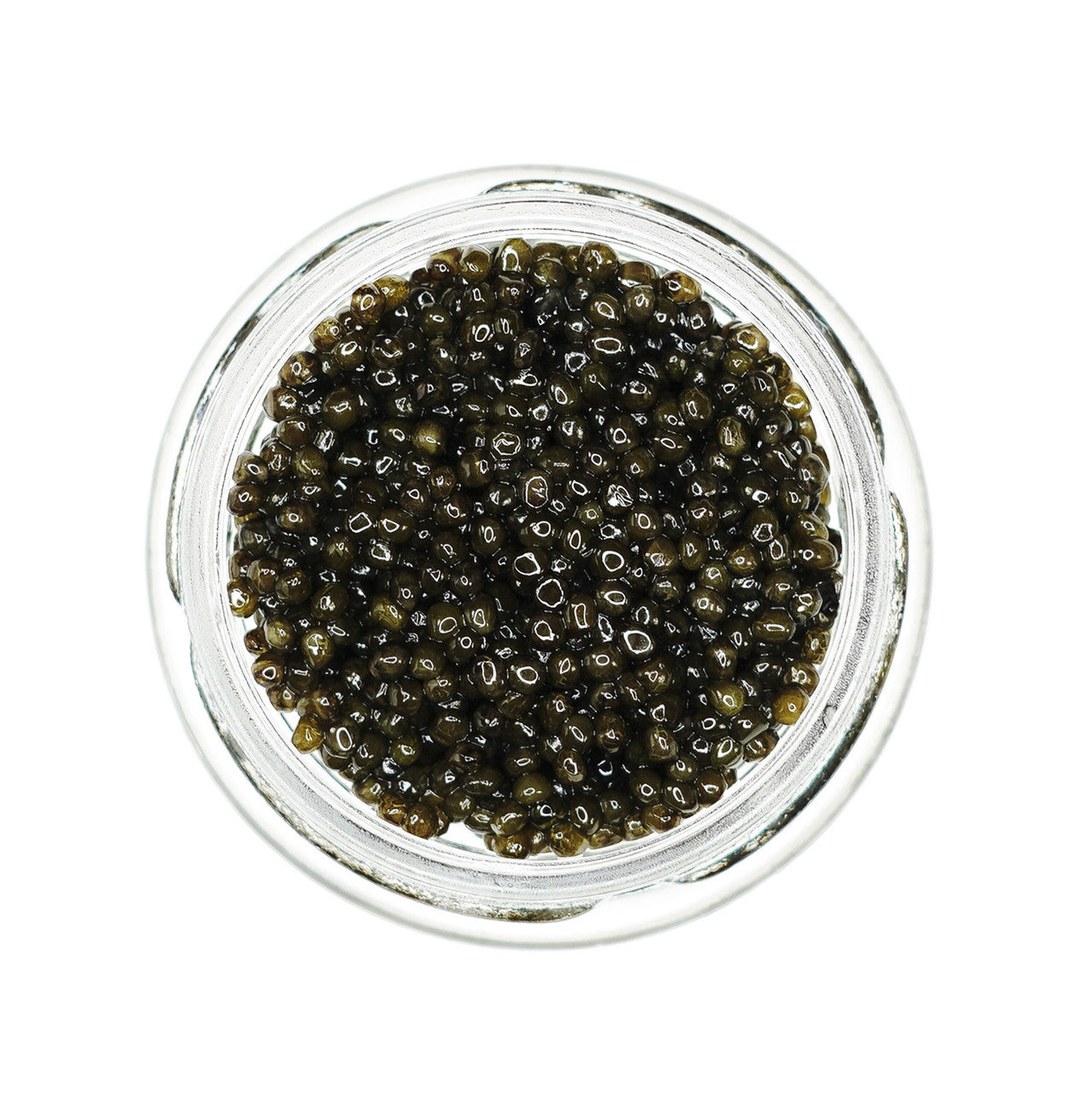 Royal Amber Osetra Caviar, Farmed, Fresh, Highest Quality – Caviar Star