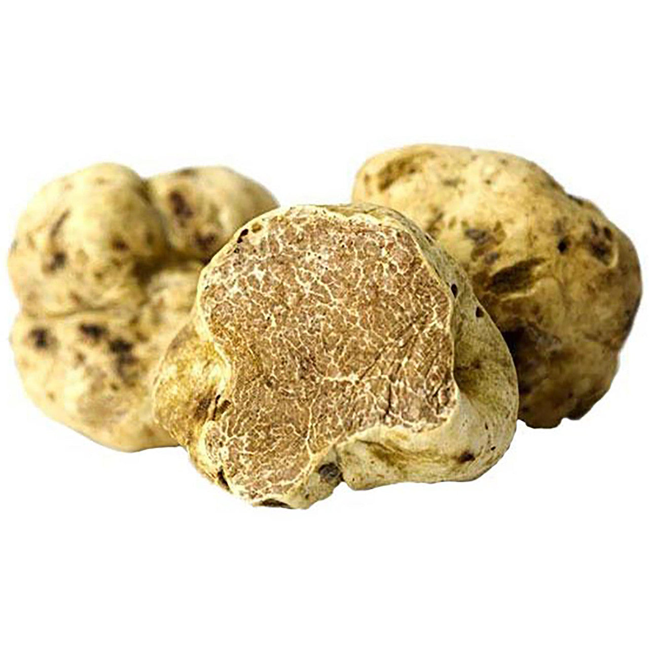 Fresh White Winter Truffles | Caviar Star